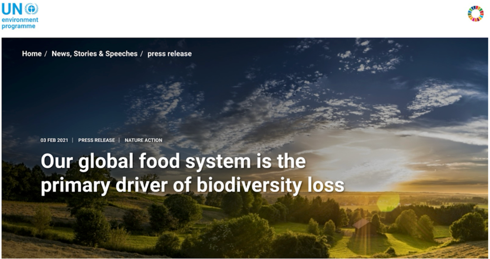 Environmental Impacts - Plant Based Cities Movement